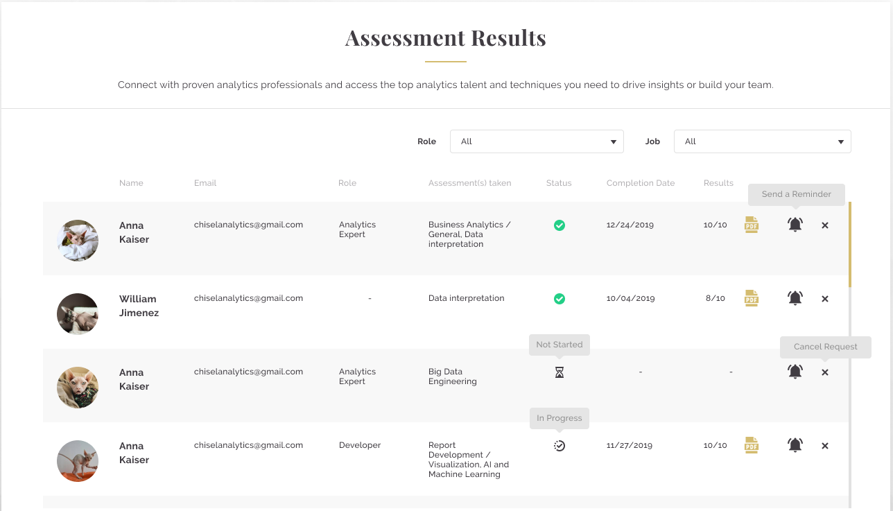 Skill Assessments - Chisel Analytics